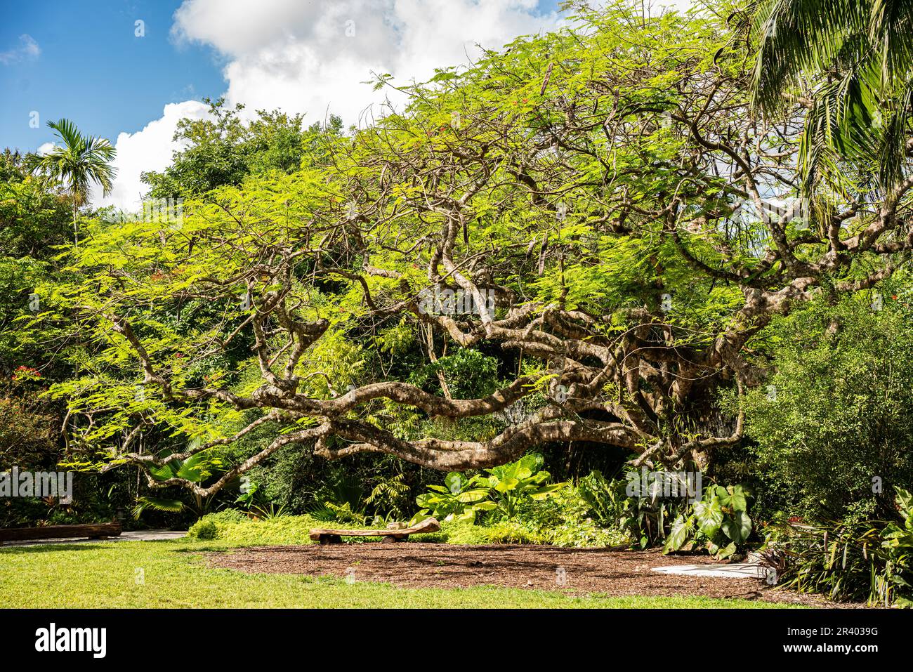 Patch Heavenly Sanctuary, Redlands, South Florida Miami's own little ...