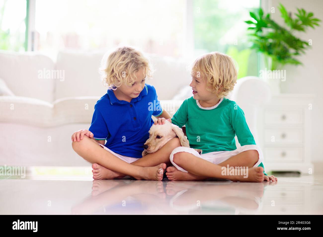 Child playing with baby dog. Kids with puppy. Little boy and American ...