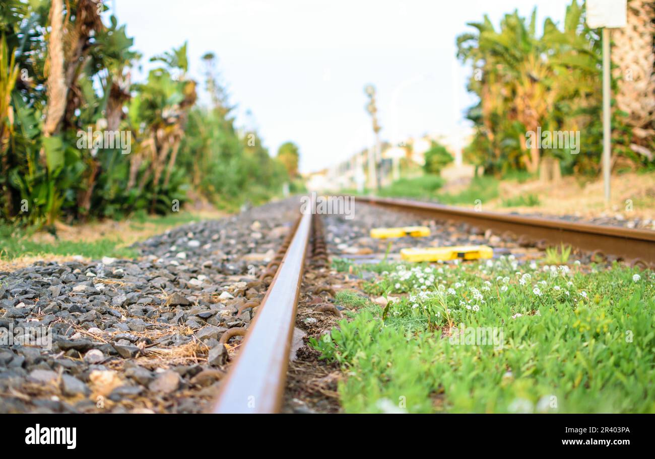 Image of Abandoned train tracks with overgrown grass Stock Photo - Alamy