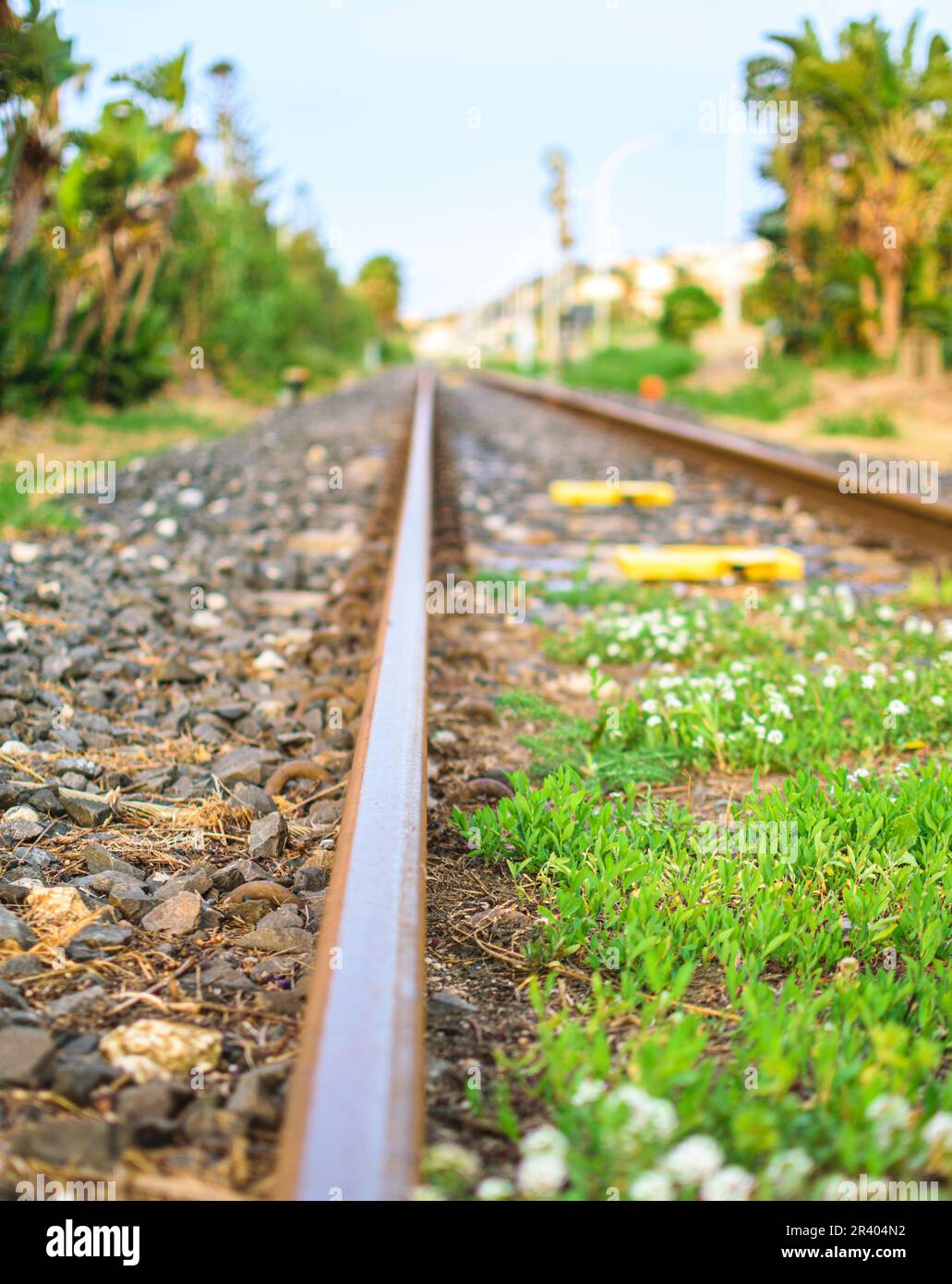 Image of Abandoned train tracks with overgrown grass Stock Photo - Alamy