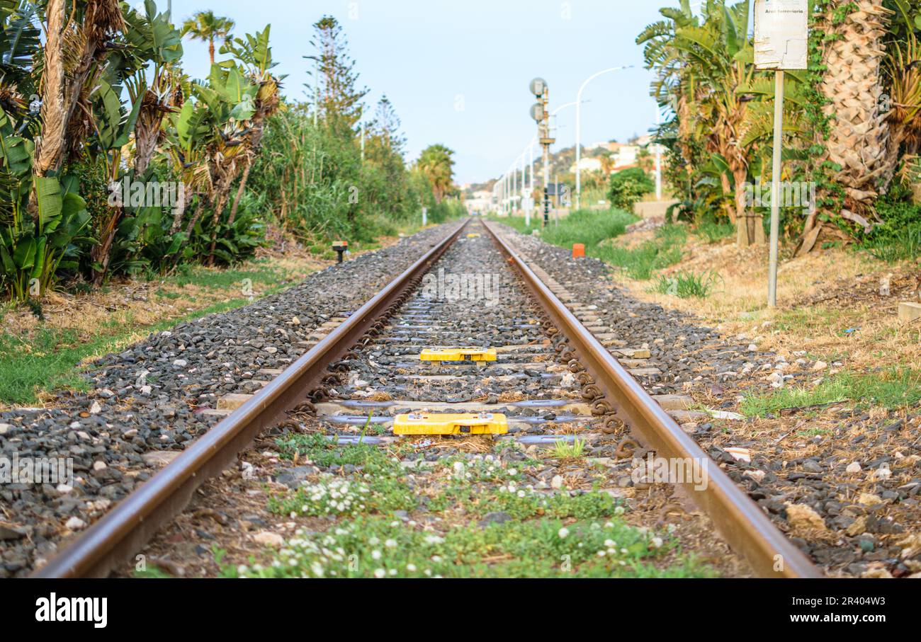 Image of Abandoned train tracks with overgrown grass Stock Photo - Alamy