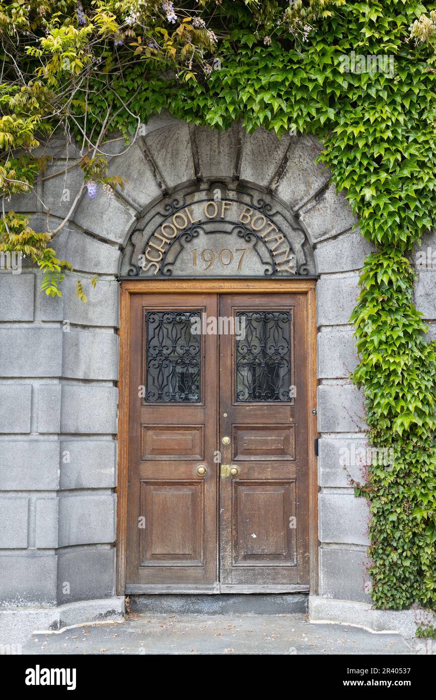A beautiful arched doorway surrounded by green ivy at the School of ...