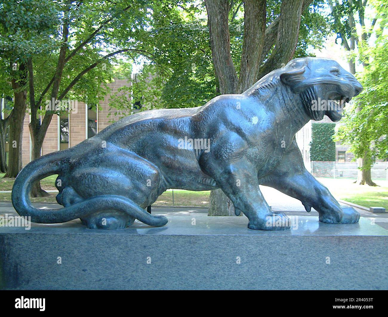 Tiger of princeton hi-res stock photography and images - Alamy