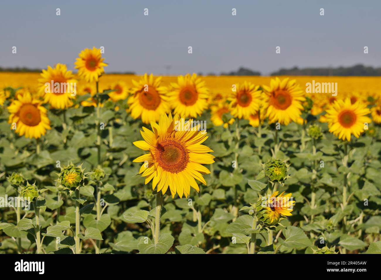 Lproduktion hi-res stock photography and images - Alamy