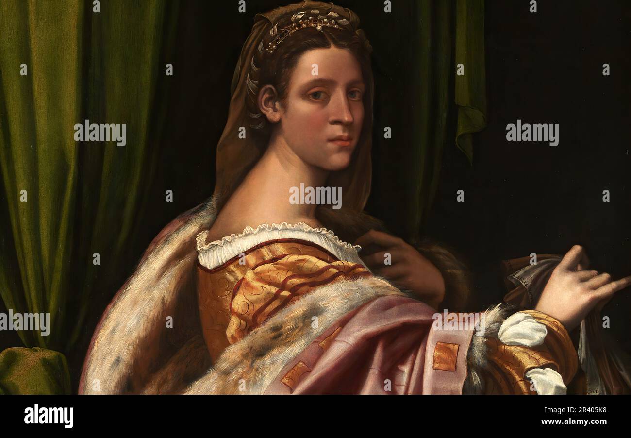 Full title: Portrait of a Lady Artist: Sebastiano del Piombo Date made ...