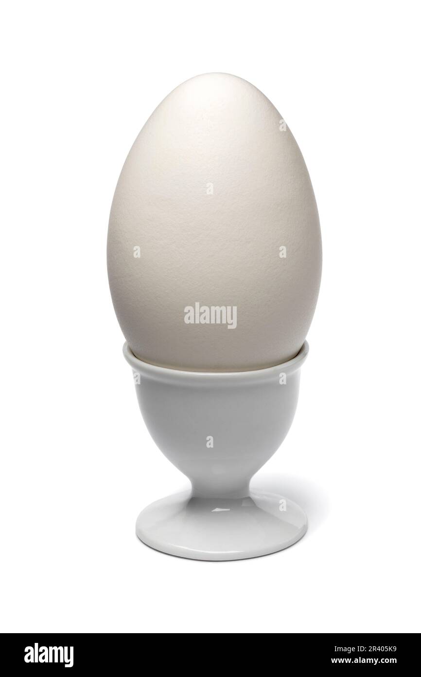 White egg cup with fresh picked white large goose egg close up isolated ...