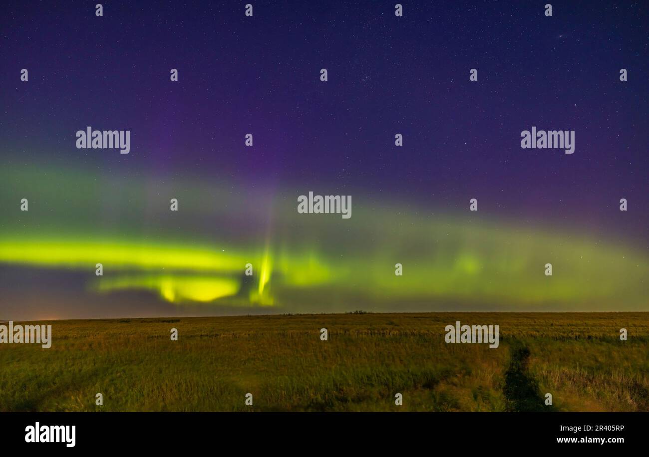 Northern lights over a wheat field in southern Alberta, Canada Stock ...