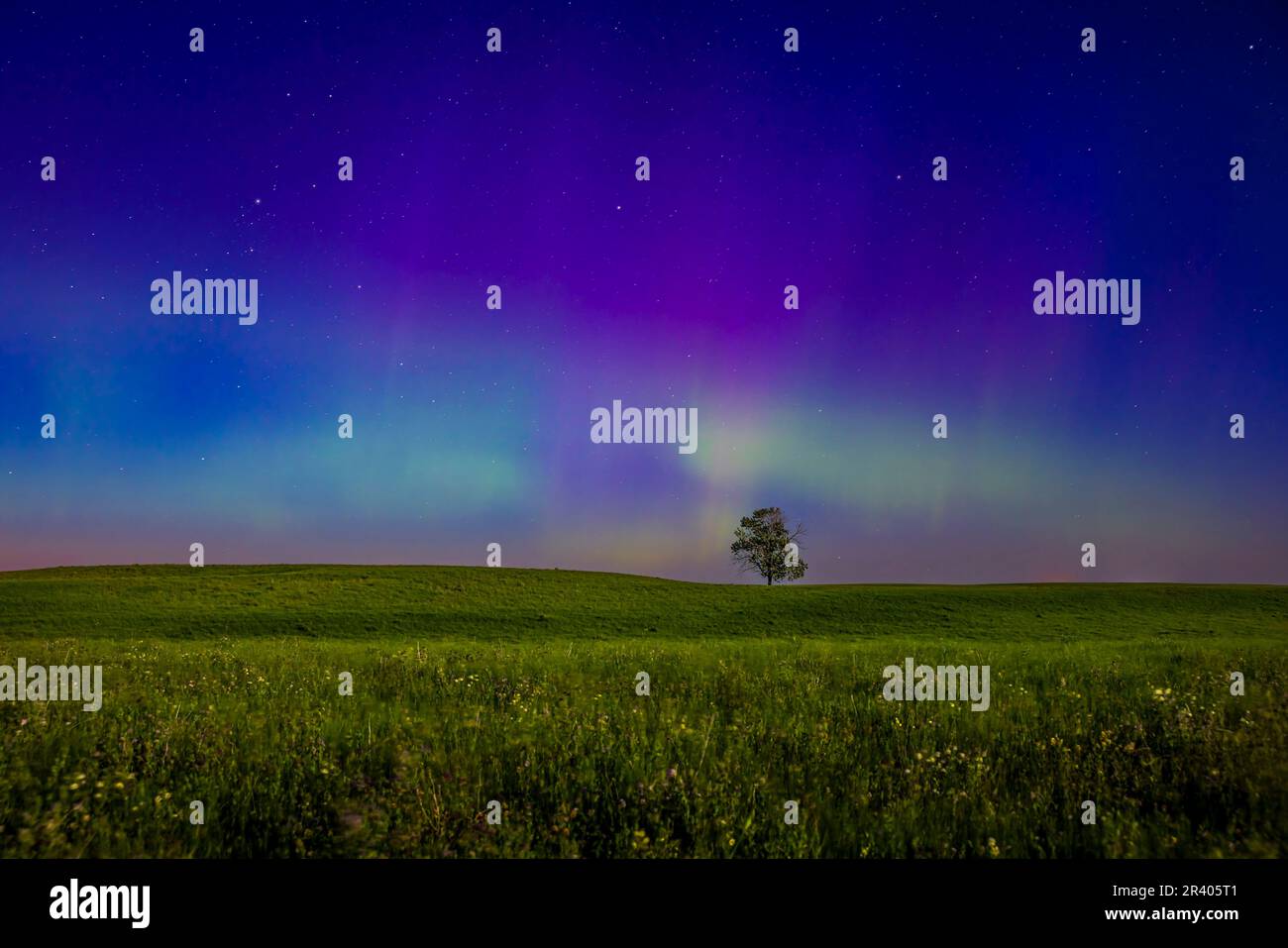 Subtle aurora borealis hi-res stock photography and images - Alamy