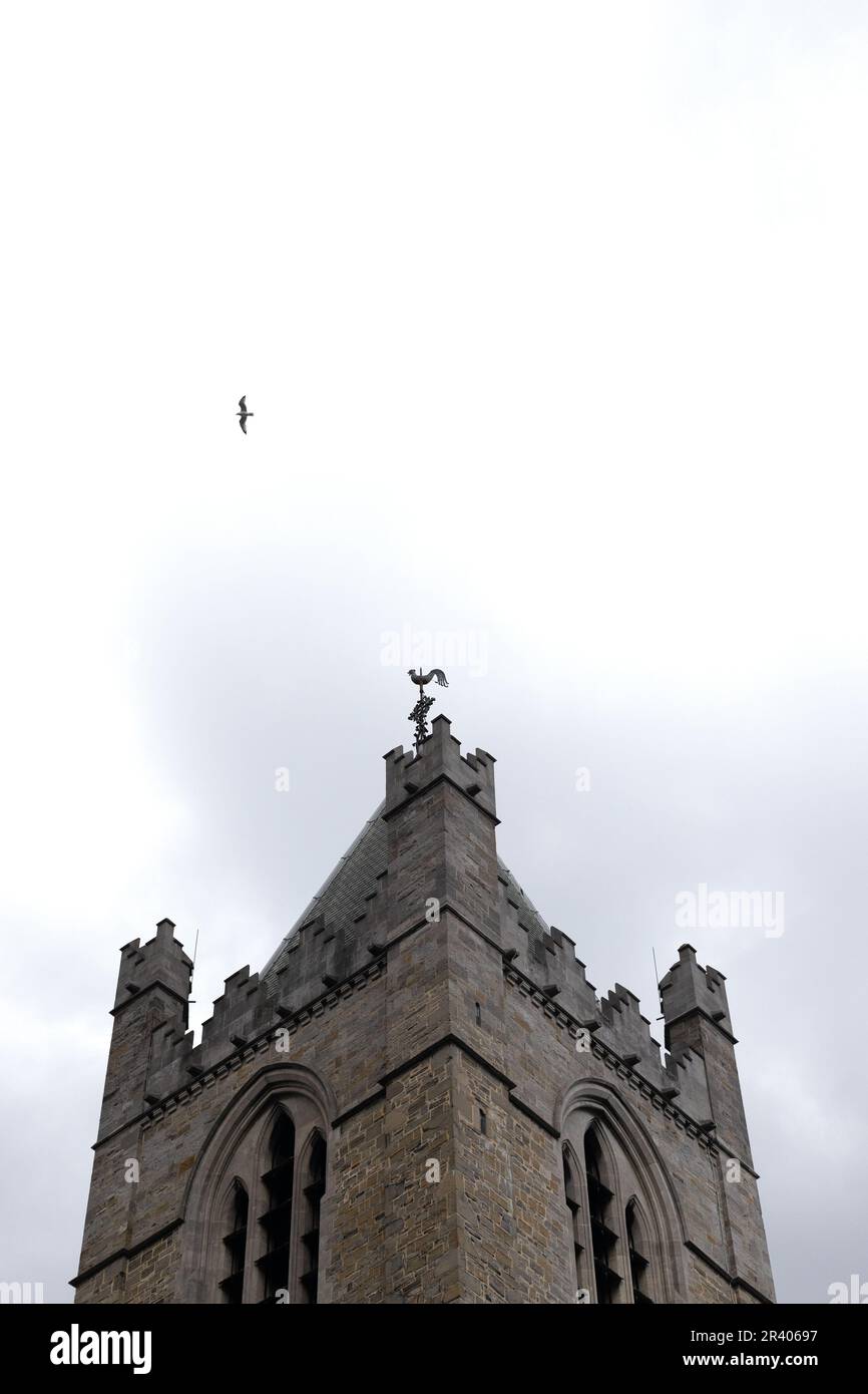 Christ bird hi-res stock photography and images - Alamy