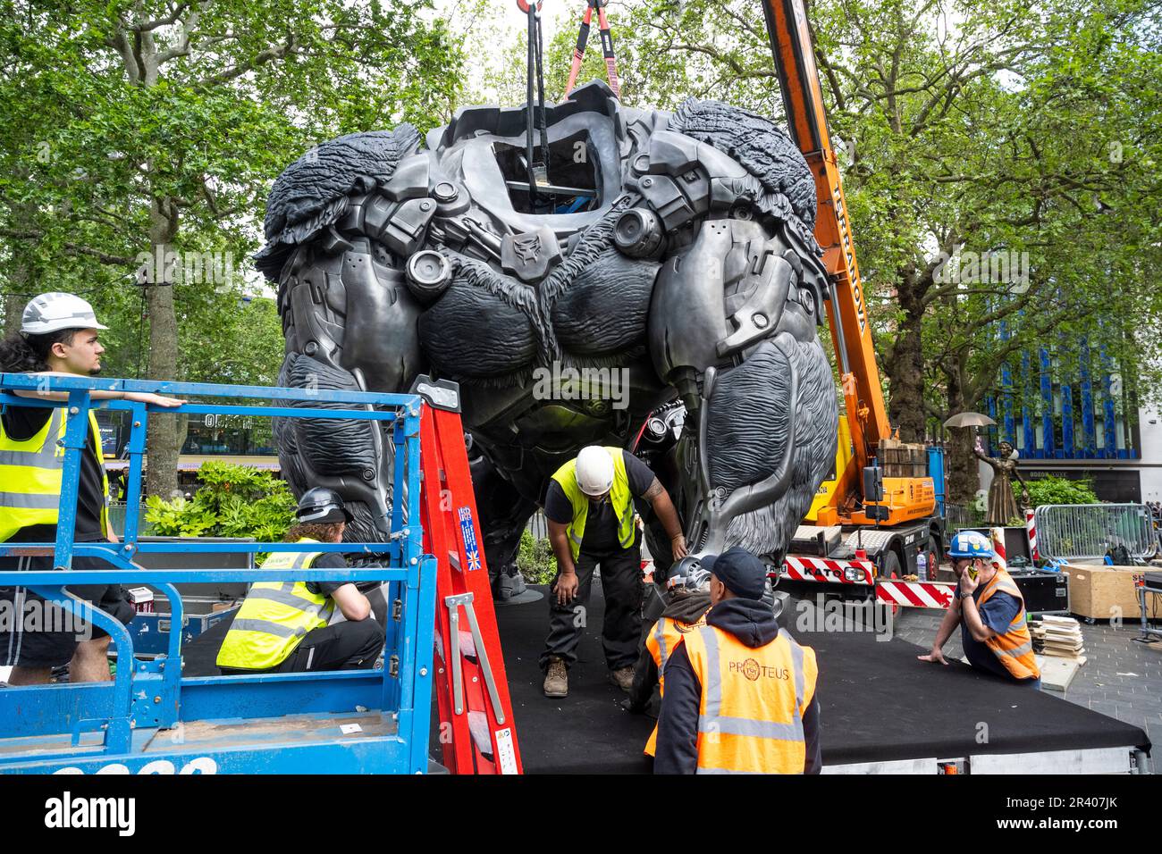 London, UK. 25 May 2023. A statue of a giant gorilla being installed in ...