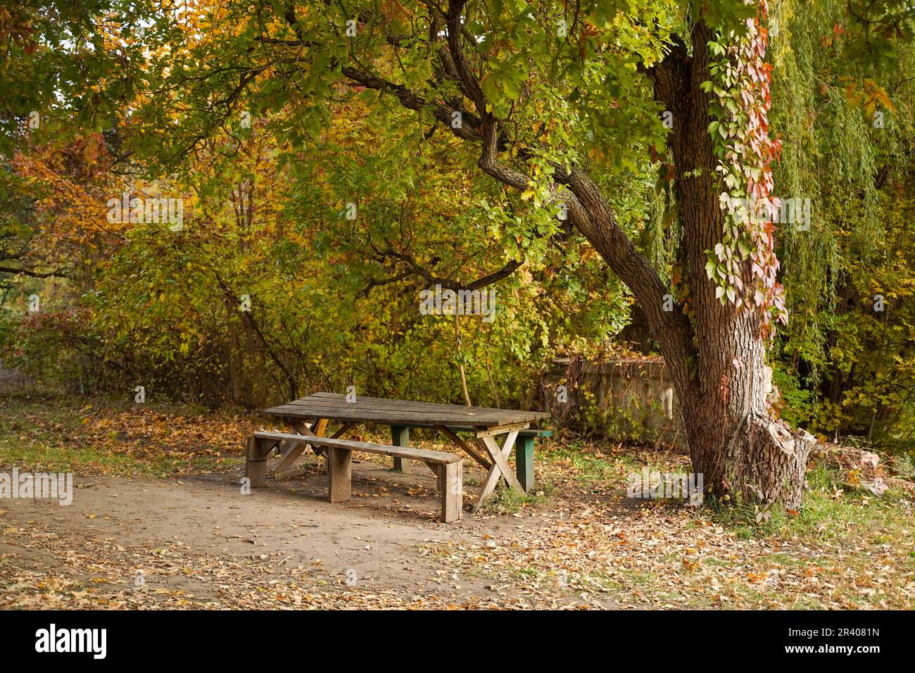 A lonely bench and table in an abandoned park Stock Photo - Alamy
