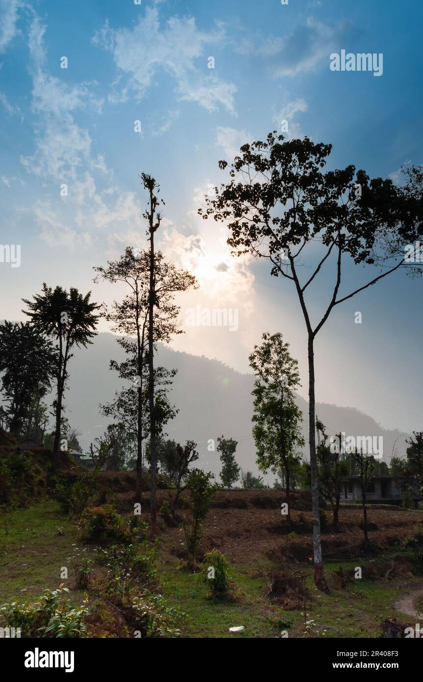 Sun set behind trees and Himalayan mountains in the background with ...