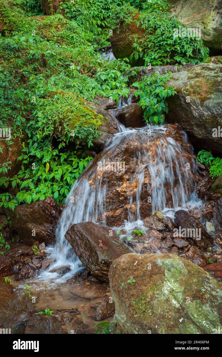 Water flowing through stones,beautiful waterfall inside Himalayan ...