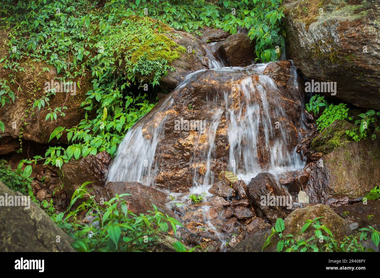 Water flowing downstraem, beautiful waterfall inside Himalayan forest ...