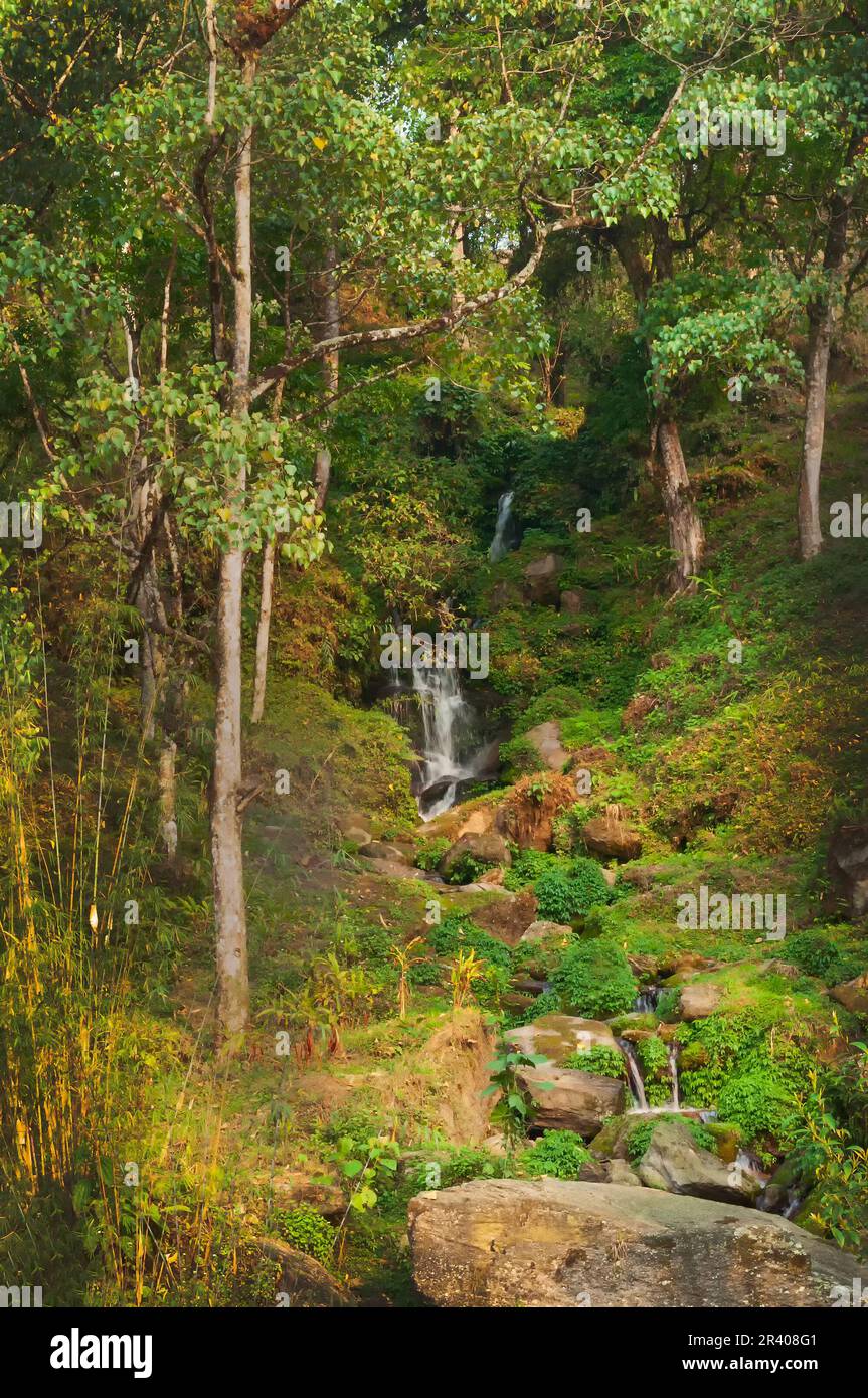 Beautiful waterfall inside Himalayan forest, Sikkim, India. Sikkim has ...