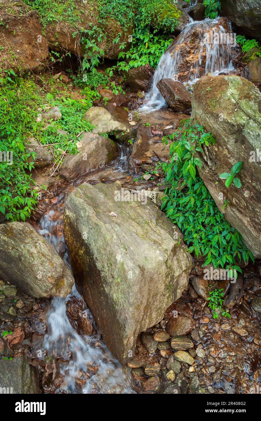 Water flowing through stones,beautiful waterfall inside Himalayan ...