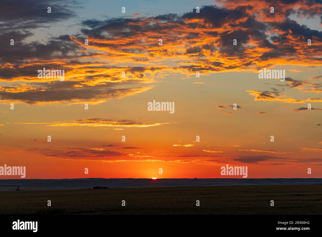 Canada prairie horizon hi-res stock photography and images - Alamy