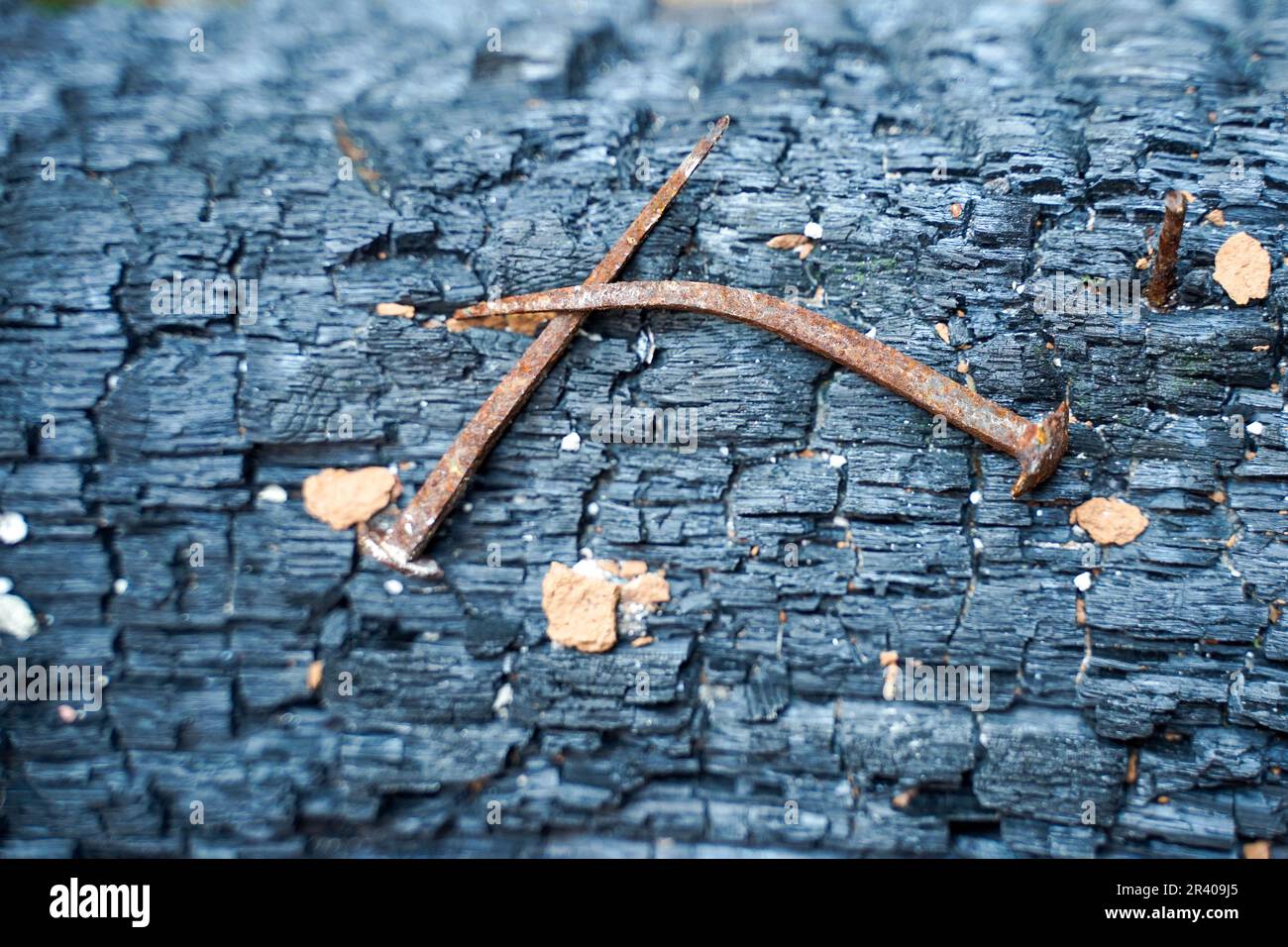 In Flames Rusted Nail