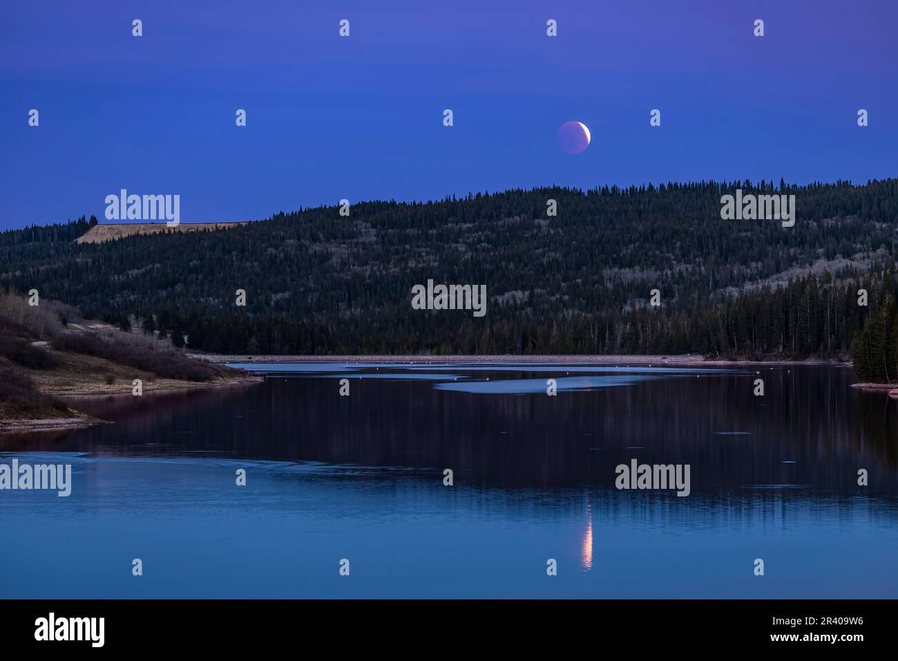 The eclipsed full moon rising over Reesor Lake in Cypress Hills ...