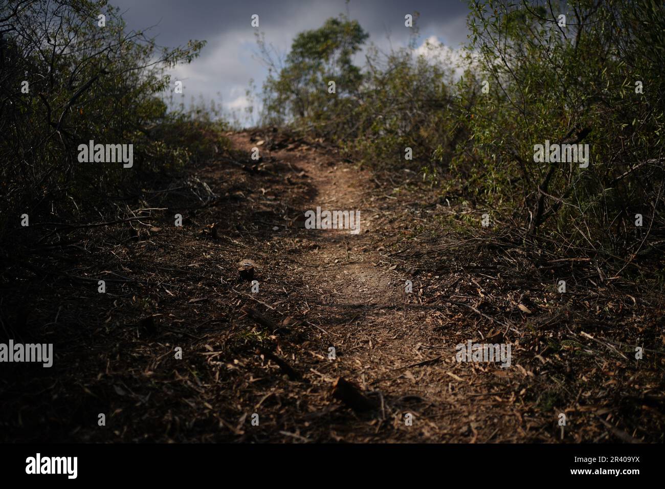 The area around Barragem do Arade reservoir, in the Algave, Portugal ...