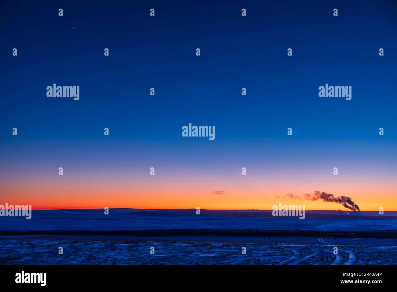 Mercury plant hi-res stock photography and images - Alamy