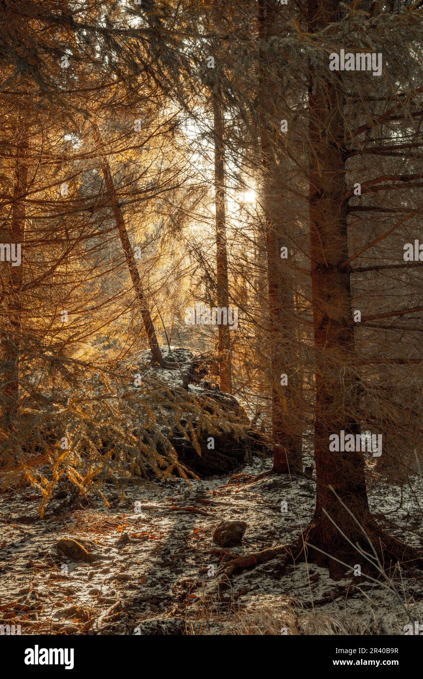 Mystical lighting hi-res stock photography and images - Alamy