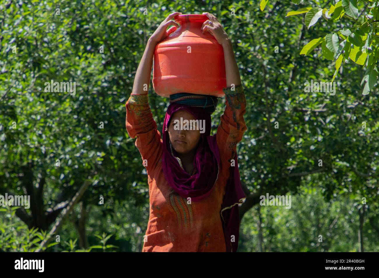 Alamy bakarwal india hi-res stock photography and images - Alamy