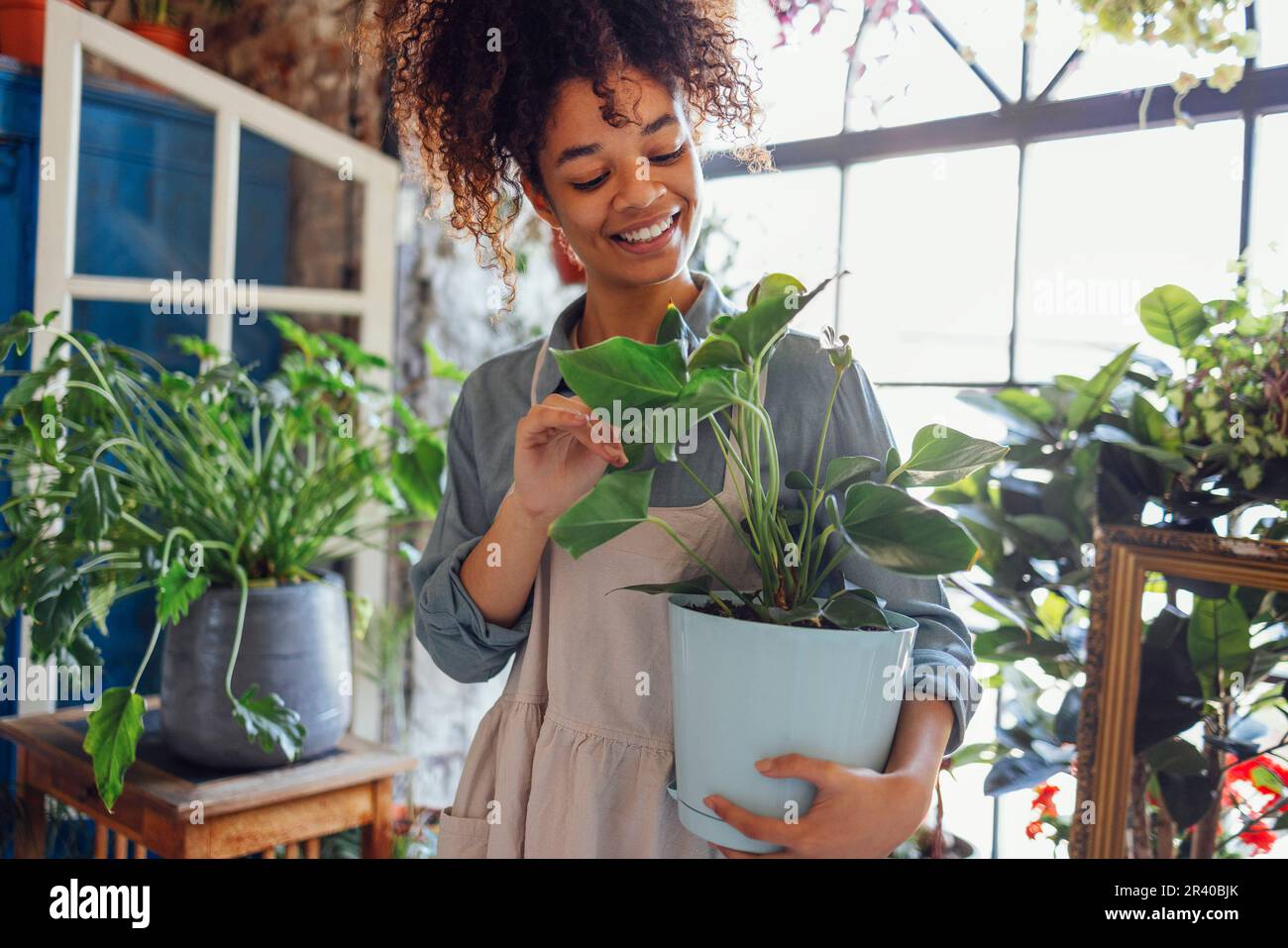 Houseplant lover hi-res stock photography and images - Alamy