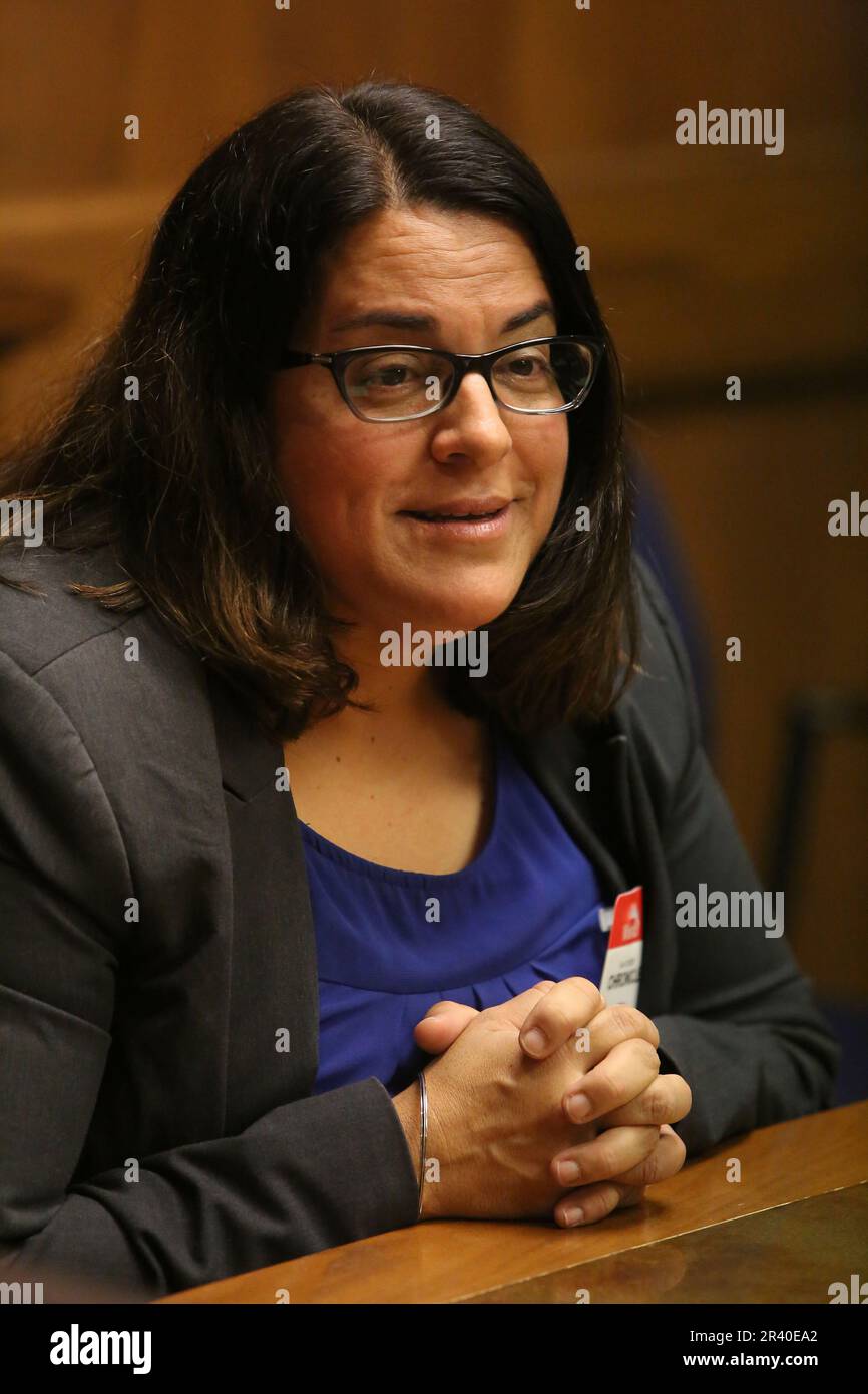 Rani Singh, who is running for San Francisco Superior Court Judge Seat ...