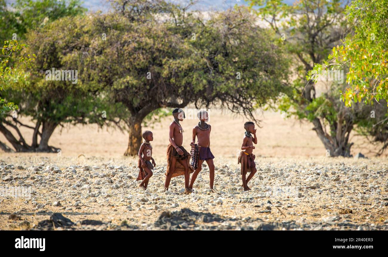 Group of children of the Himba tribe among the trees in an oasis in the ...