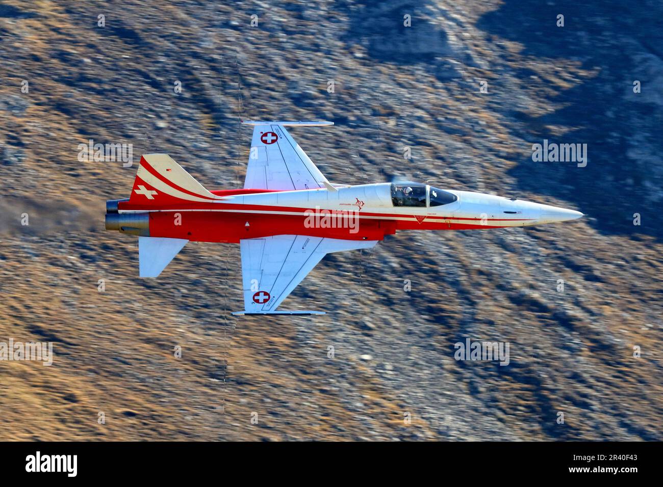 A F-5E Tiger II jet fighter of the Patrouille Suisse aerobatic team of ...