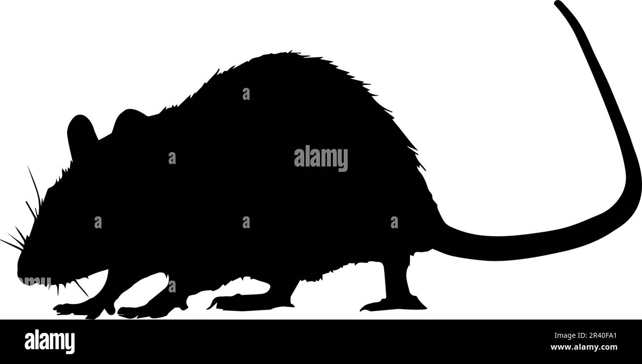 Rat silhouette isolated on white background. Vector illustration Stock ...
