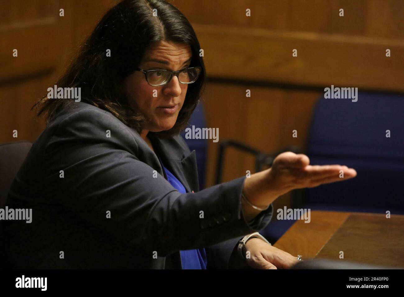 Rani Singh, who is running for San Francisco Superior Court Judge Seat ...