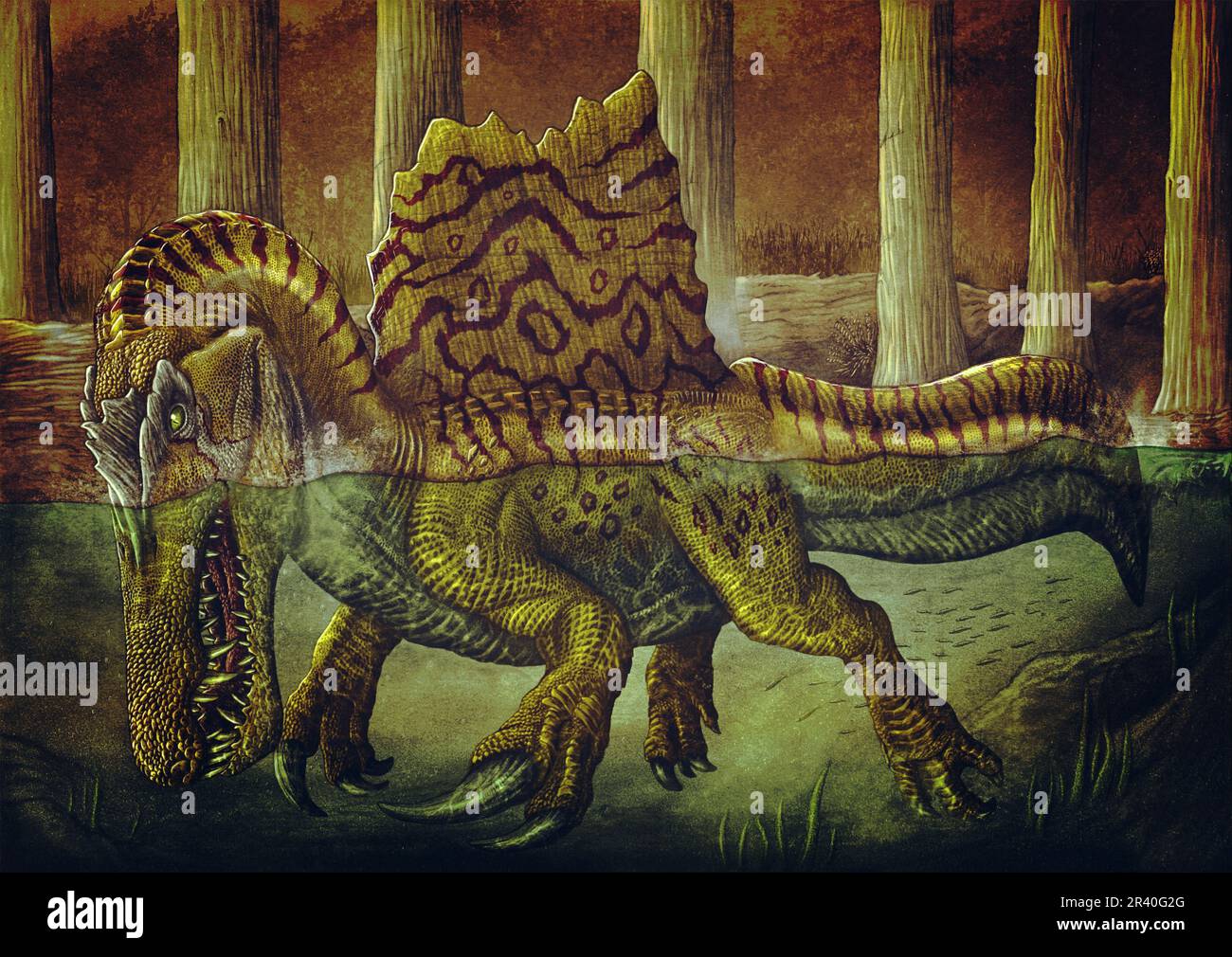 Spinosaurus in the swamp Stock Photo - Alamy