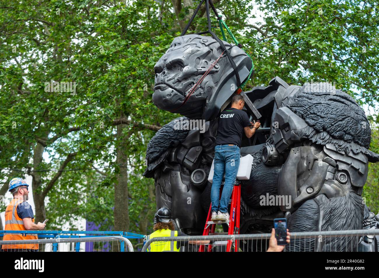 London, UK. 25 May 2023. Workmen install the head of a giant gorilla ...