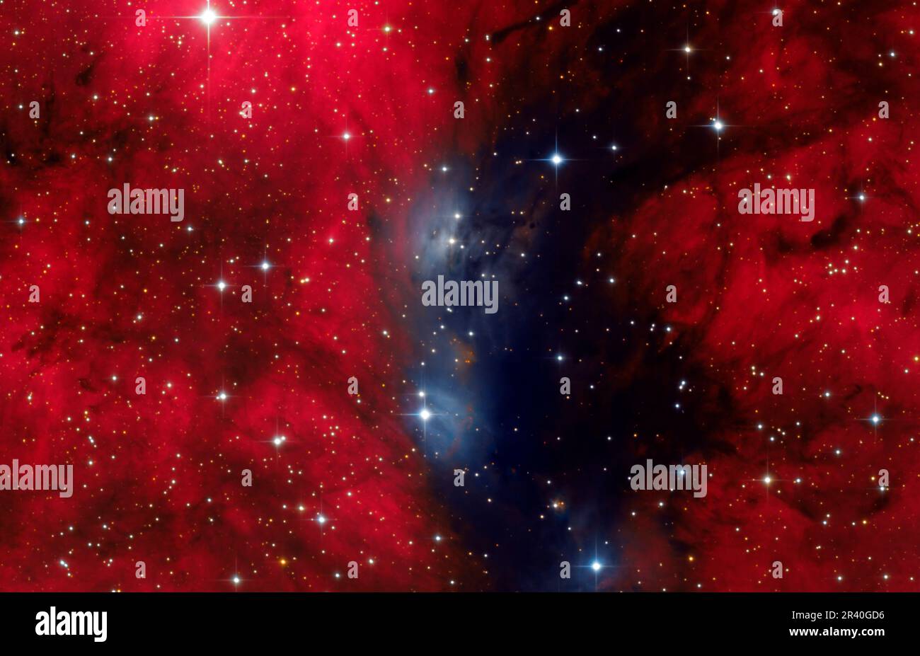 Emission and reflection nebulae NGC 6914 in Cygnus Stock Photo - Alamy