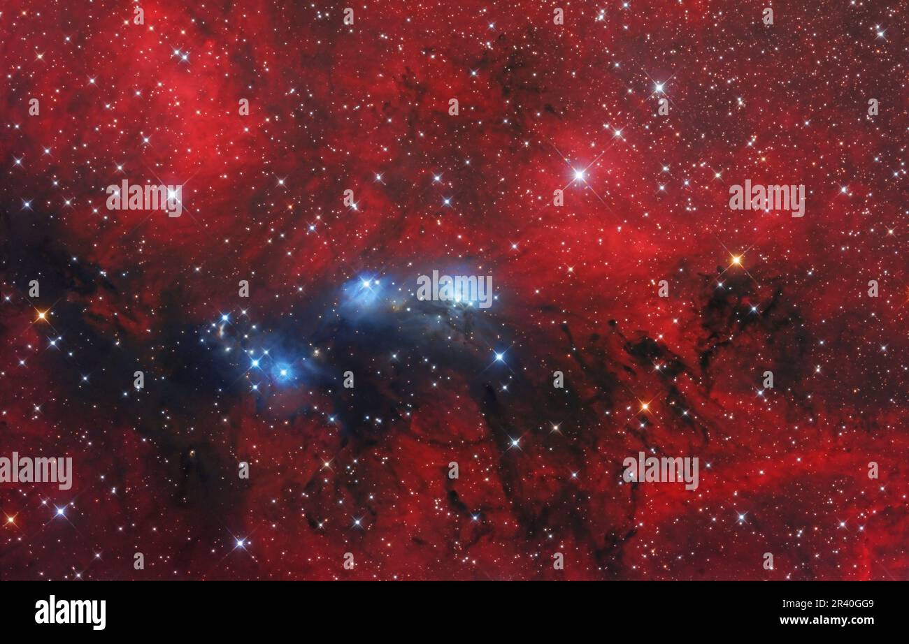 Reflection nebula NGC 6914 in Cygnus Stock Photo - Alamy