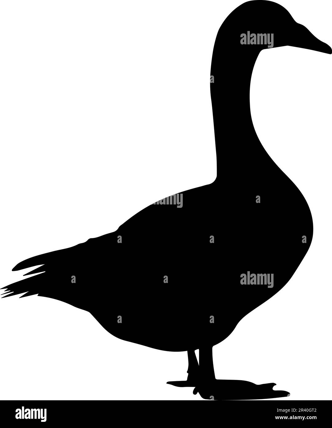 Goose on farm bird Stock Vector Images - Alamy