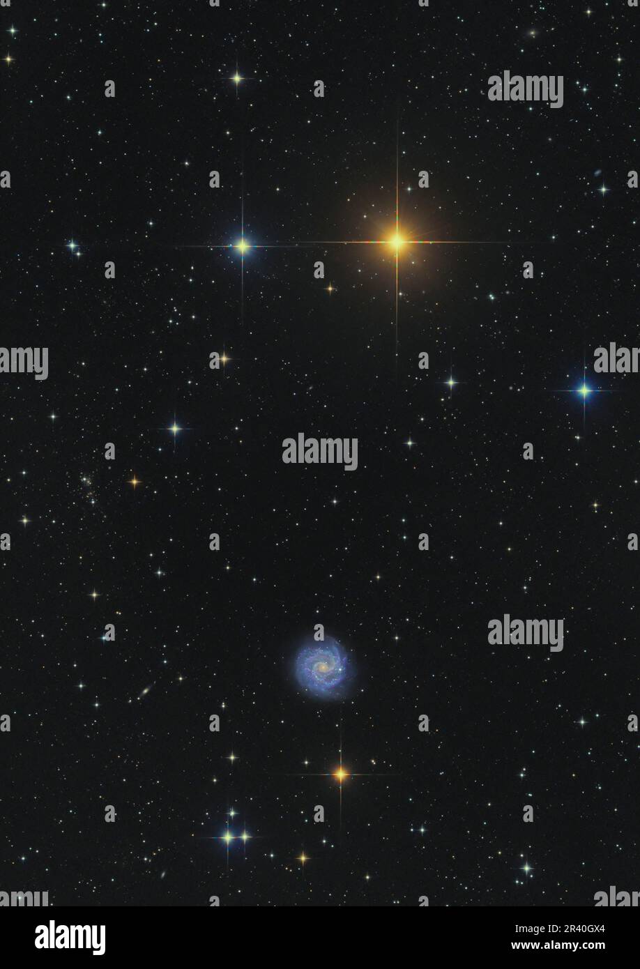 NGC 3184, the Little Pinwheel Galaxy, with binary star Tania Australis Stock Photo - Alamy