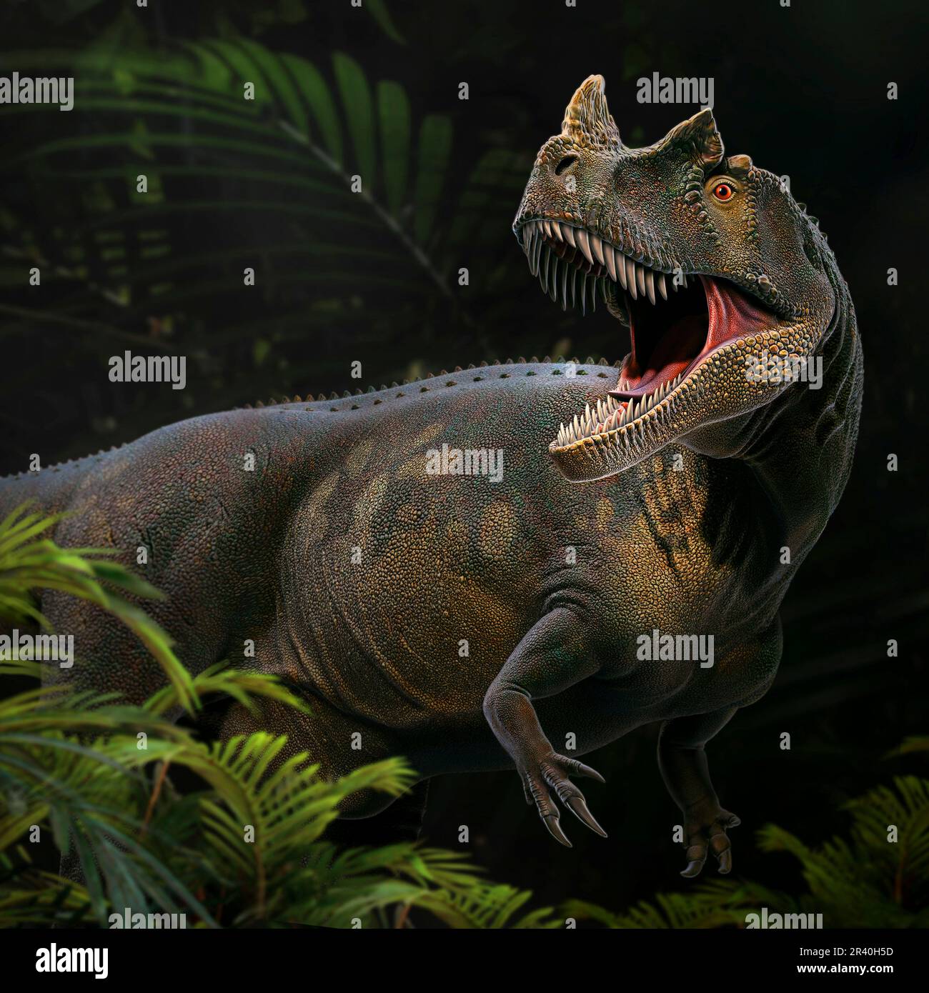 Ceratosaurus was a carnivorous theropod dinosaur in the Late Jurassic ...
