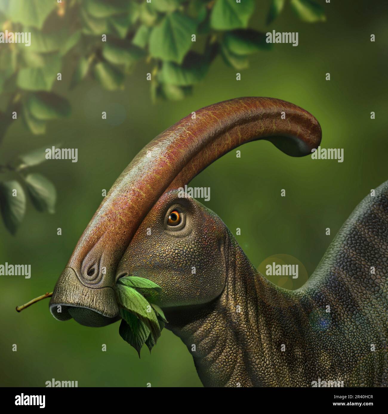 Cabeza De Parasaurolophus Parasaurolophus By Paleoshiro On DeviantArt