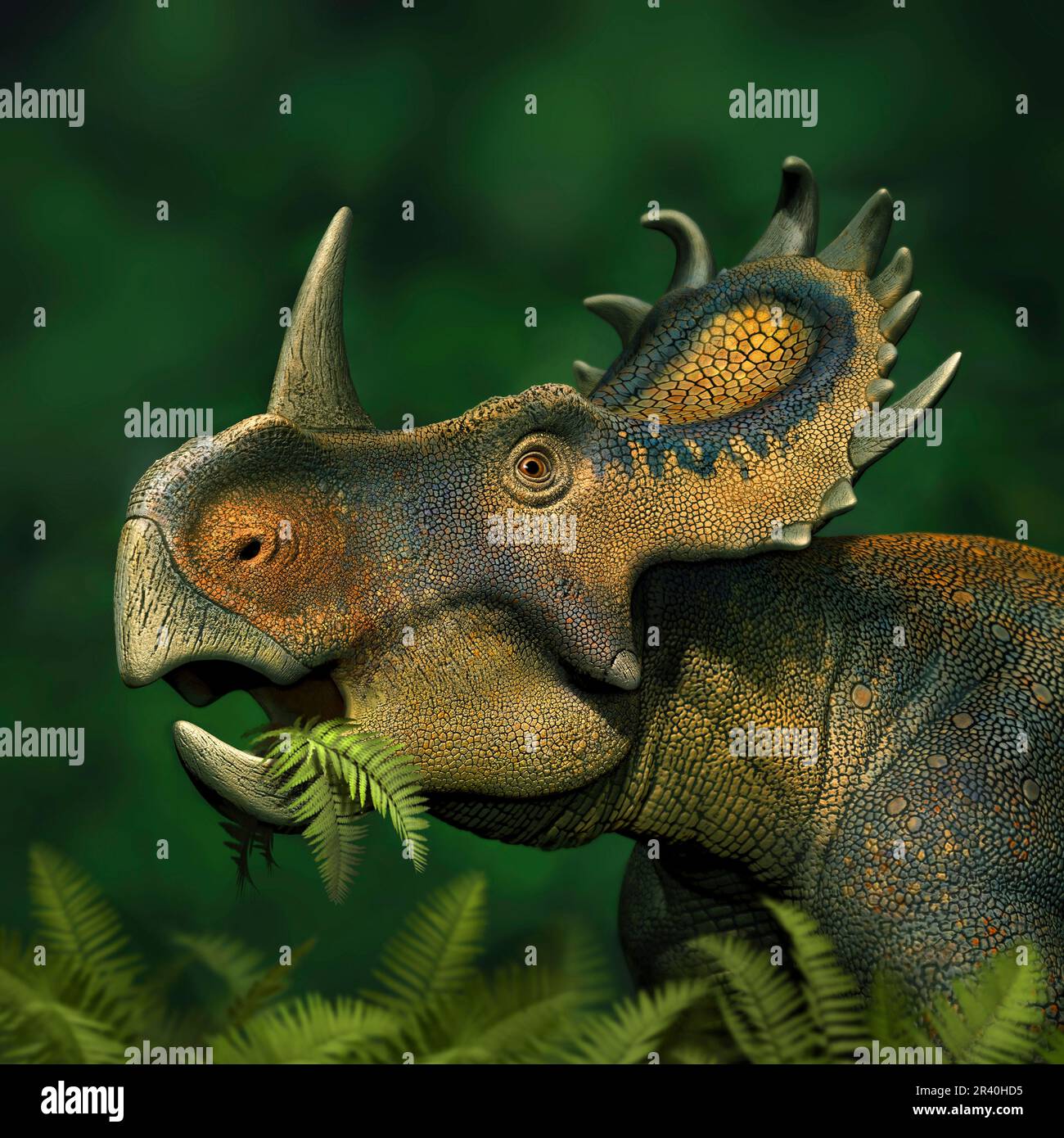 Sinoceratops hi-res stock photography and images - Alamy