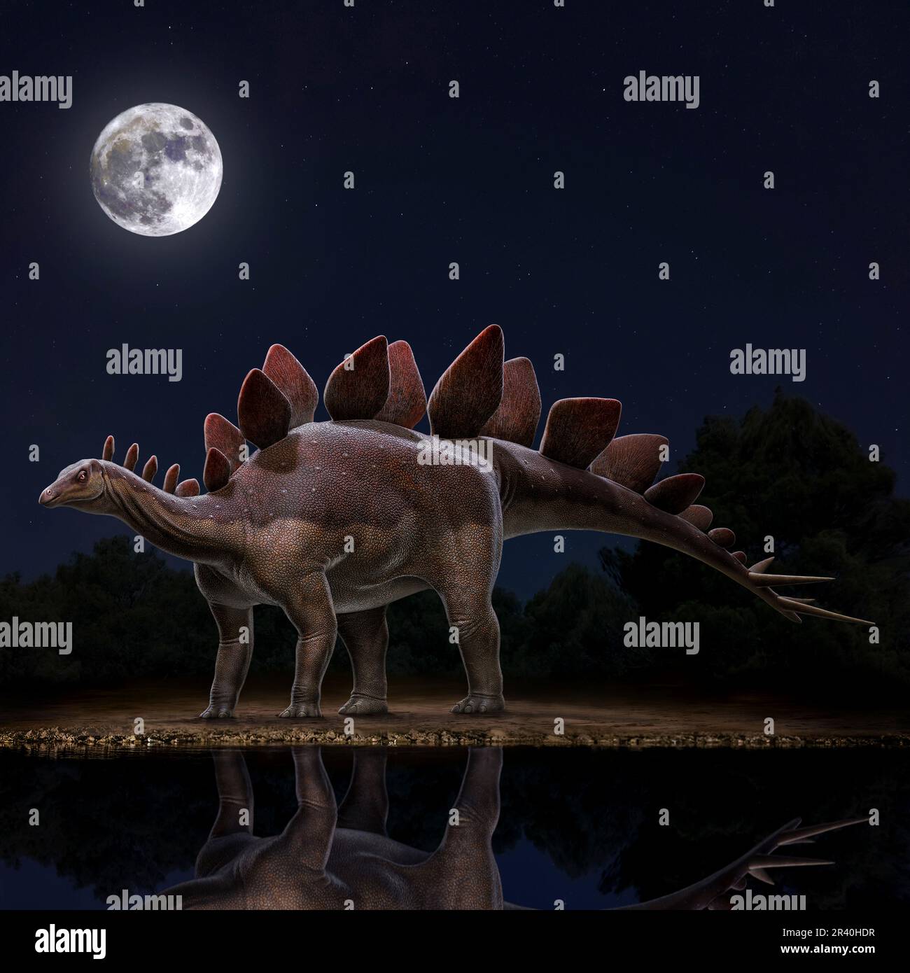Stegosaurus stenops dinosaur at night Stock Photo - Alamy
