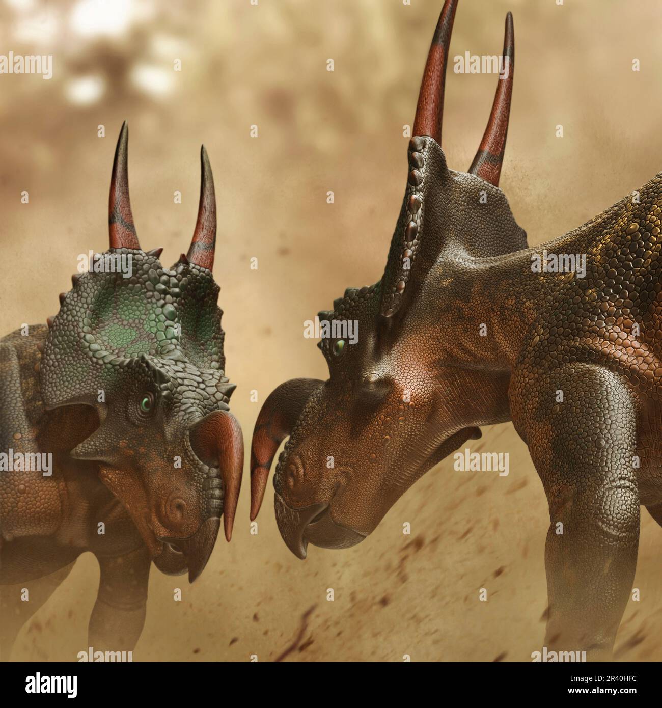 Two Einiosaurus dinosaurs fighting Stock Photo - Alamy