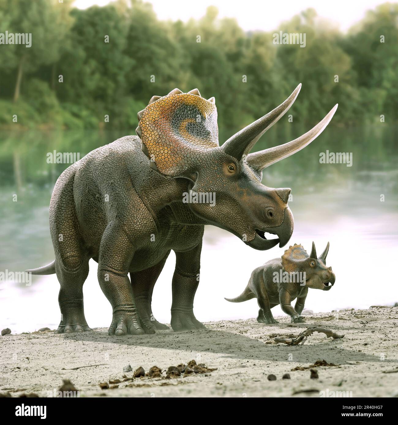Triceratops dinosaur with his calf Stock Photo - Alamy