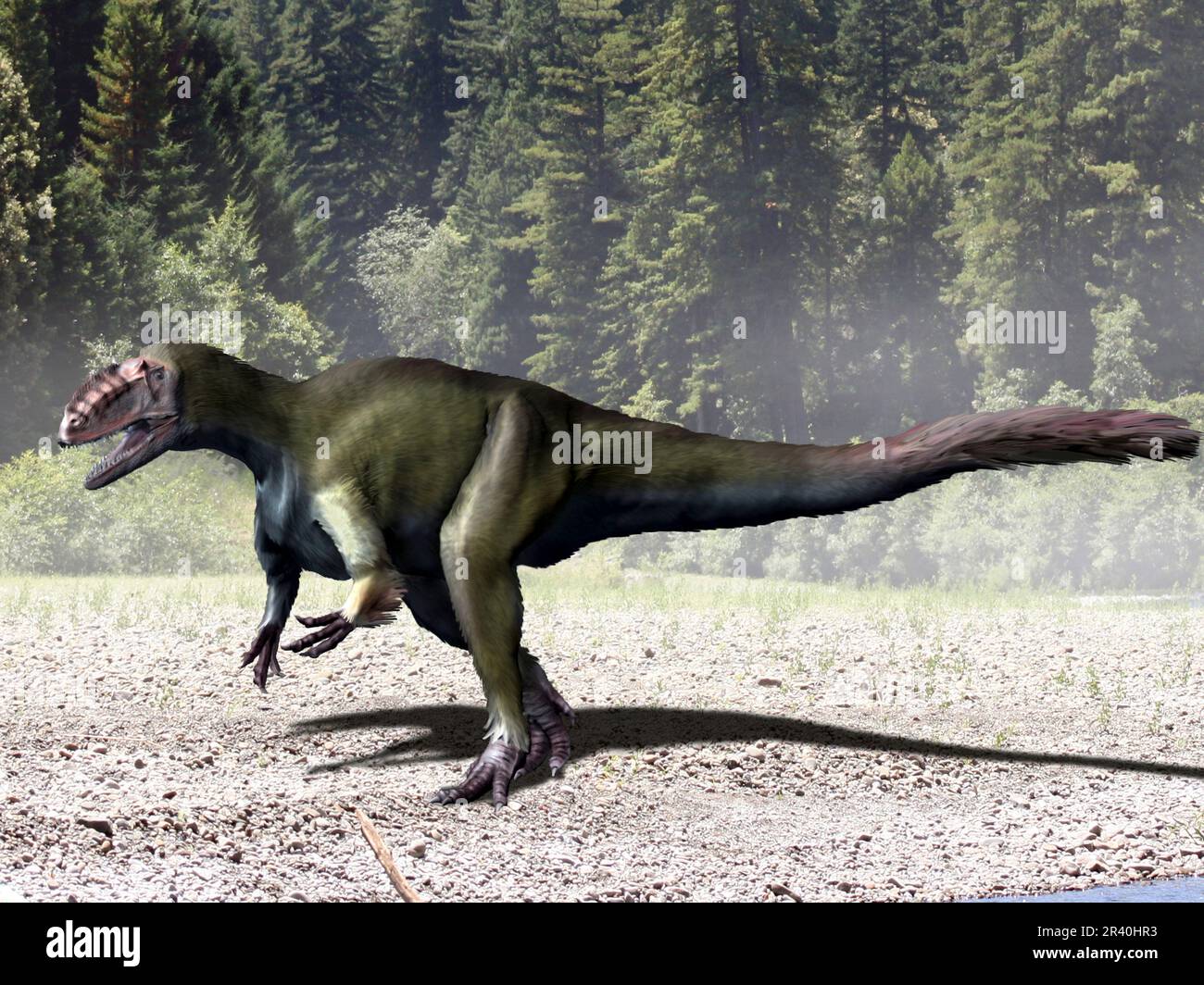 Yutyrannus dinosaur, from the Early Cretaceous of China Stock Photo - Alamy