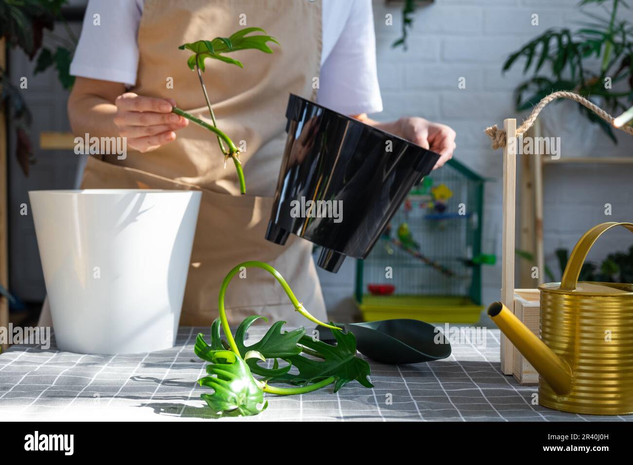Woman in an apron holds a pot with a double bottom and automatic ...