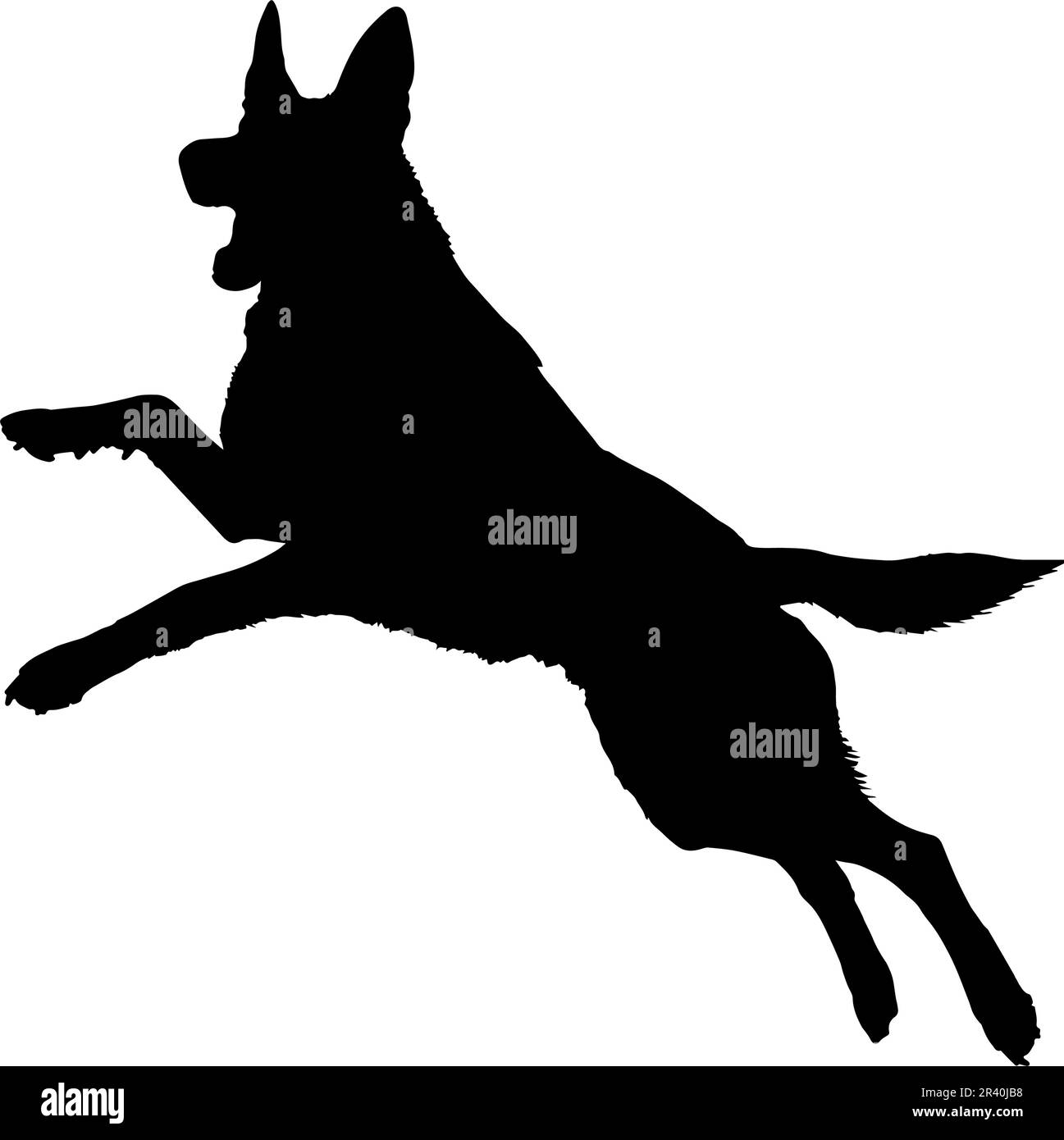 Defense German shepherd dog silhouette isolated on a white background ...