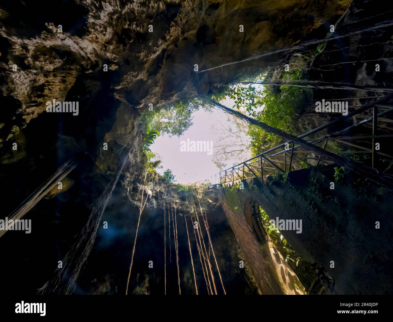 View Of A Gorgeous Cenotes Near Cuzama, Yucatan, Mexico Stock Photo - Alamy