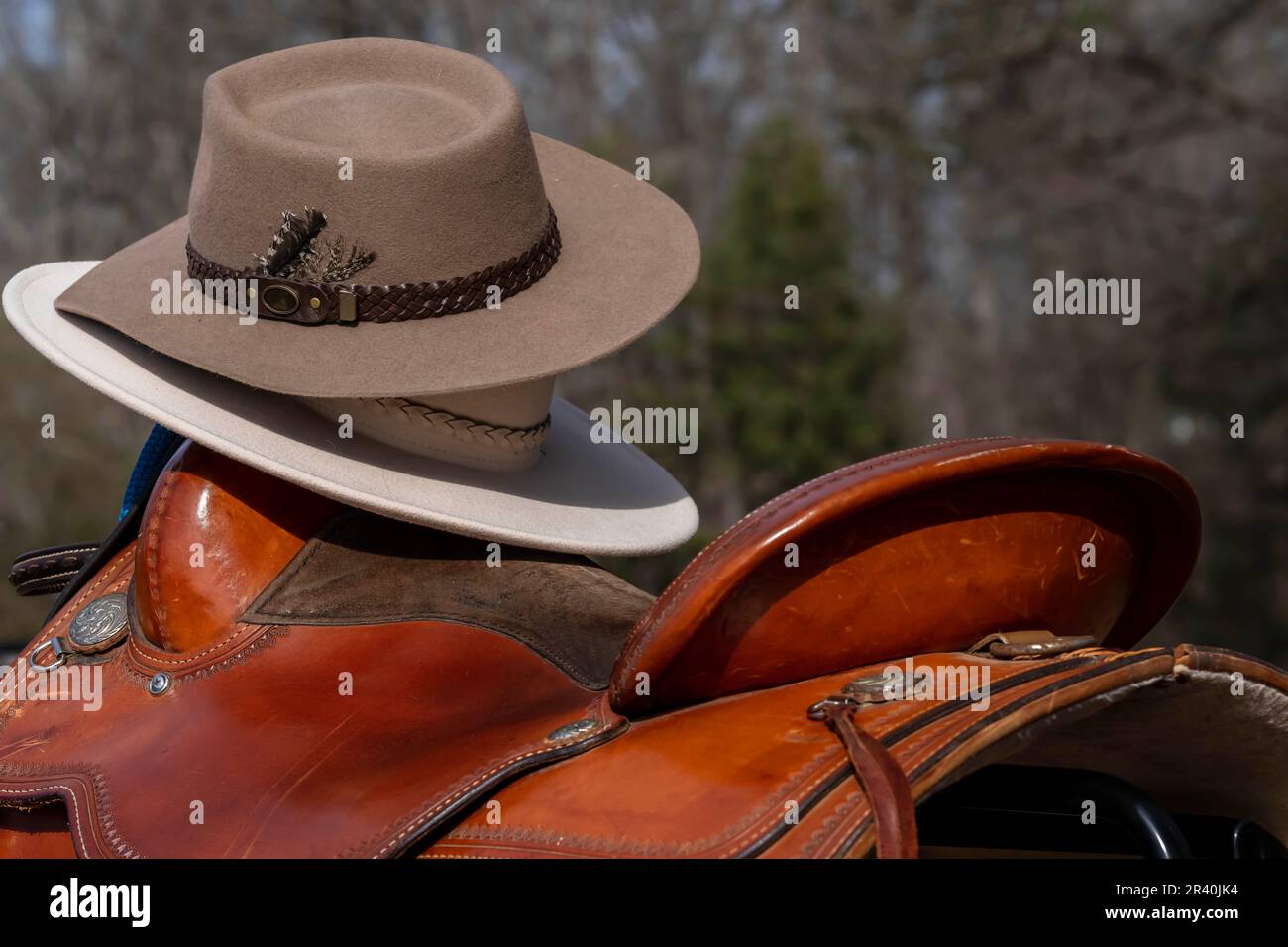 Closeup View Of Horse Tackle and Riding Equipment On A Local Farm Stock ...